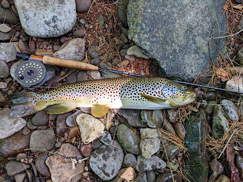 There’s No Fish In The Runs … ;) | Slate Run Sportsmen