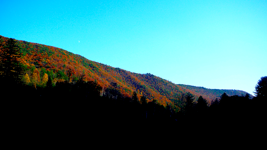 Fall Francis Journey | Slate Run Sportsmen