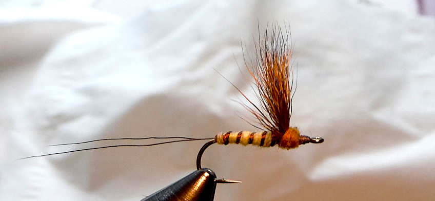Friday Night Flies Presents… Not A Hair Outta Place Fly Tying ...